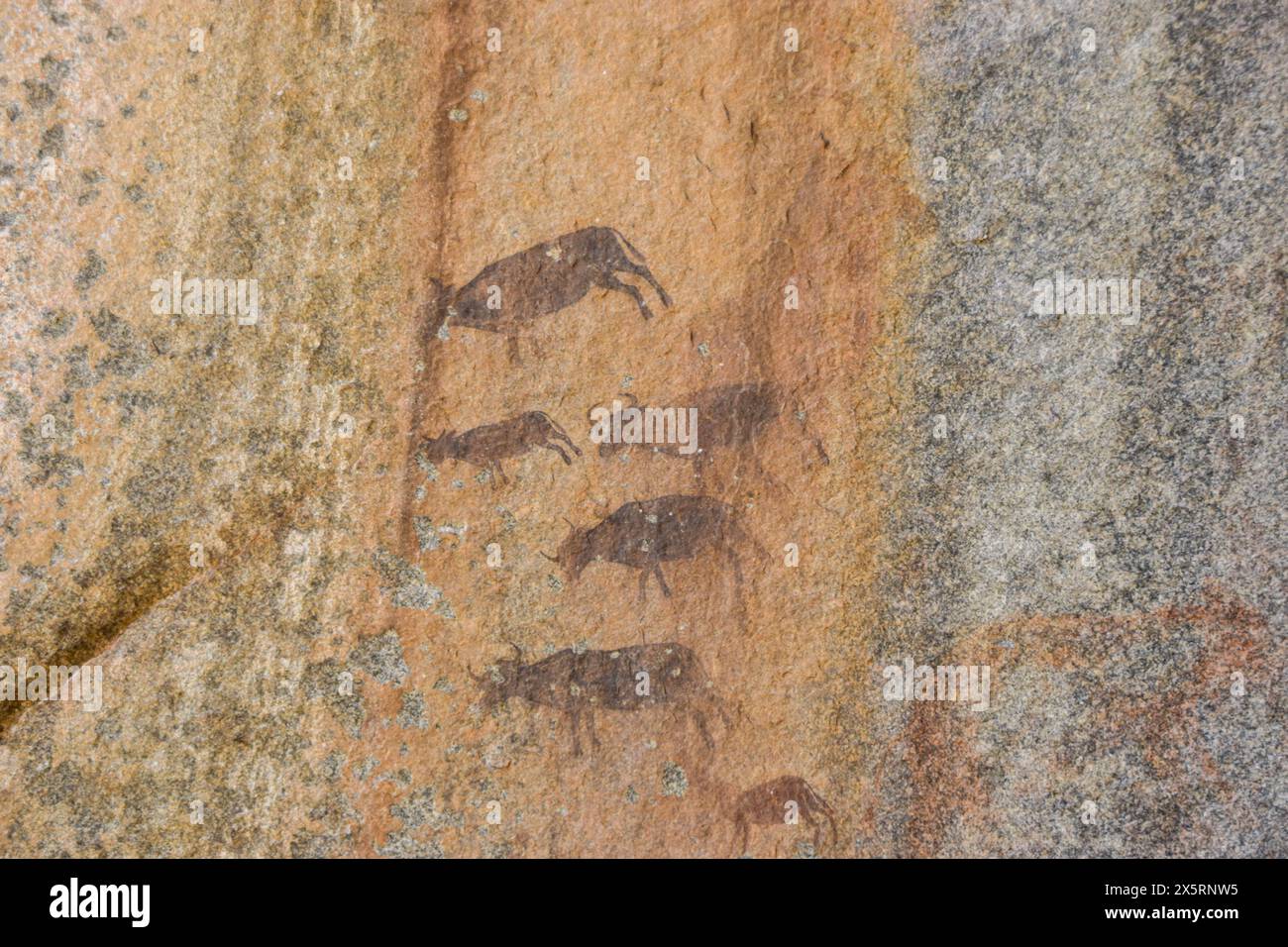 Zimbabwe. 1st May 2024. Ancient rock paintings at Domboshawa. Credit ...