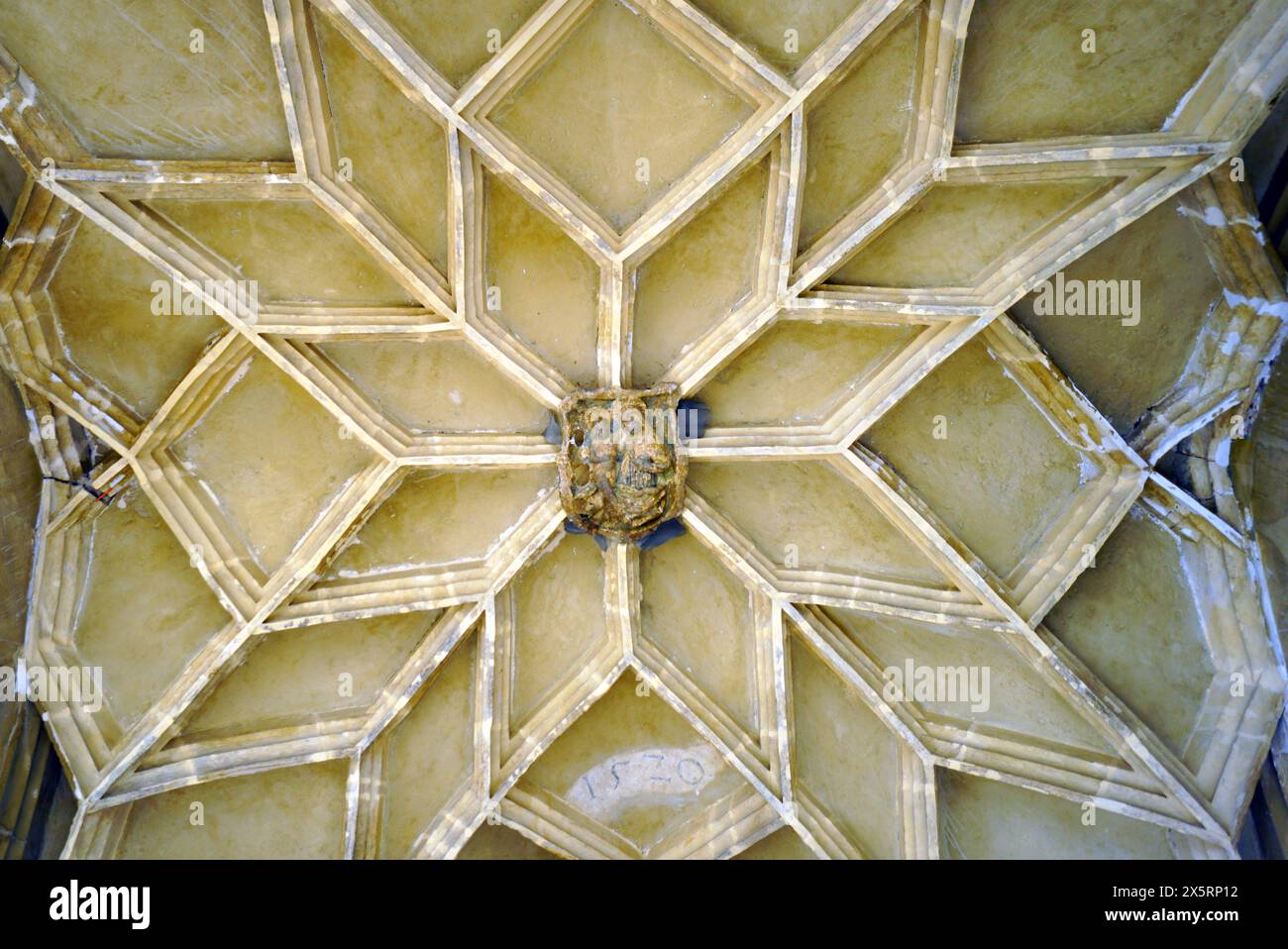 Close-up of the rib vault at the portal of St. Mary's Cathedral in ...