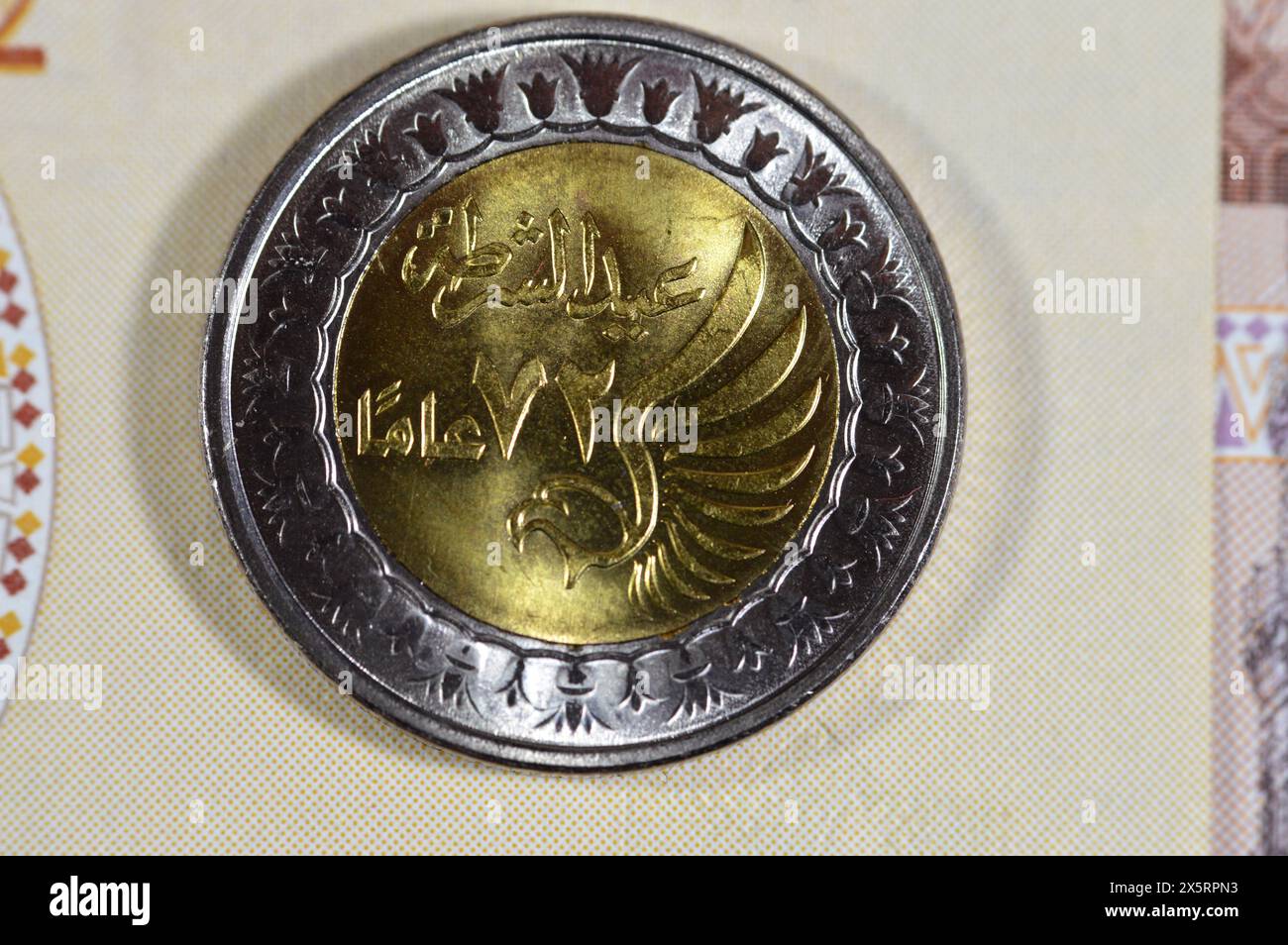 Egyptian 1 LE EGP One Egyptian pound coin on Egyptian banknote ...