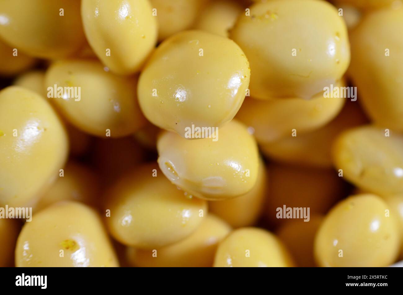 A pile of Lupinus Albus commonly known as white lupin or field lupine ...