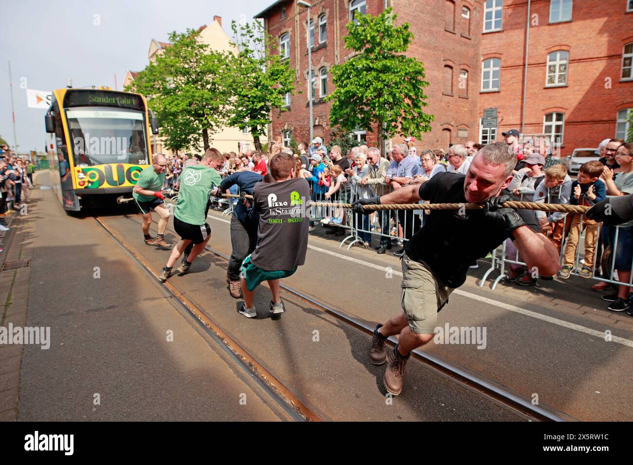 11 May 2024, Thuringia, Nordhausen: In Nordhausen, a team pulls a 28-tonne streetcar over a 30 ...