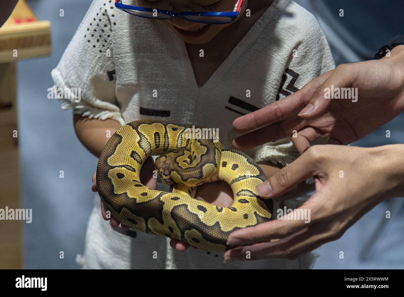 Bangkok, Thailand. 11th May, 2024. A kid seen carry a python during the Pet Expo Thailand 2024 ...