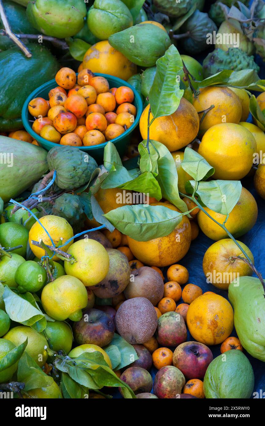 Oaxaca, Mexico. Tropical Fruits on Sale in the Market Stock Photo - Alamy