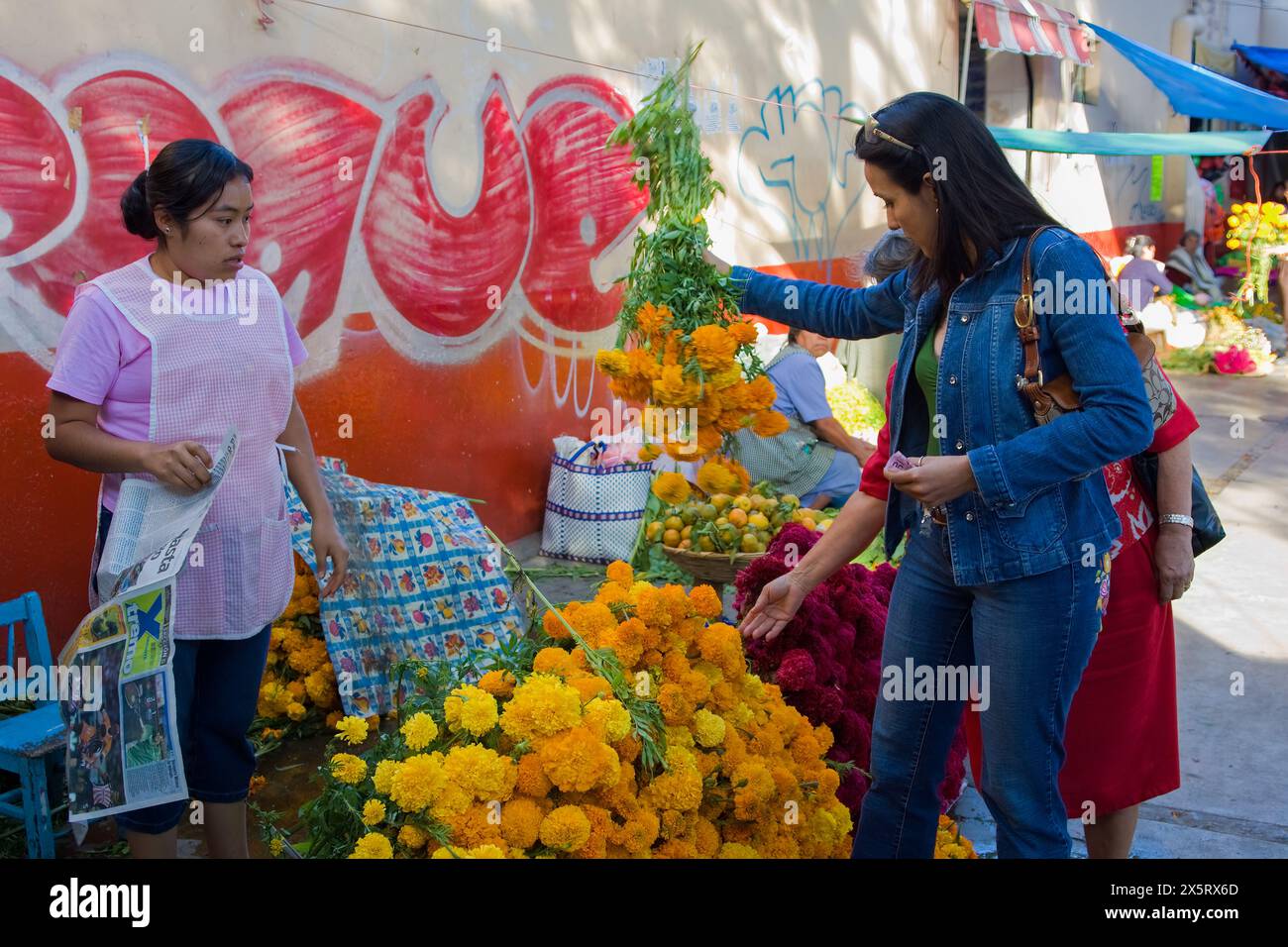 Oaxaca, Mexico, North America. Buying Marigolds for Day of the Dead ...