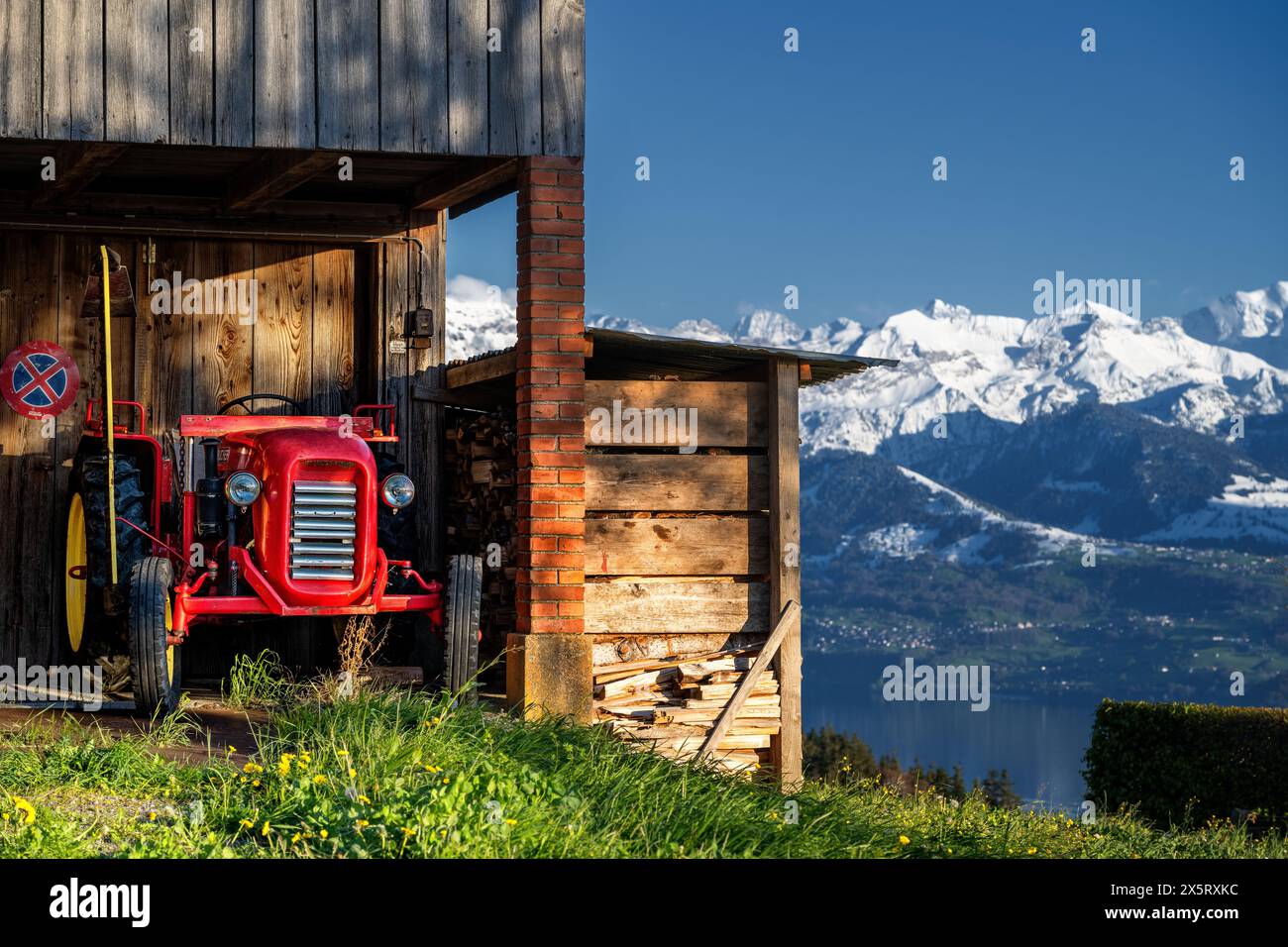Alpine farming - Old Bucher tractor in a shelter with snow mountains in ...