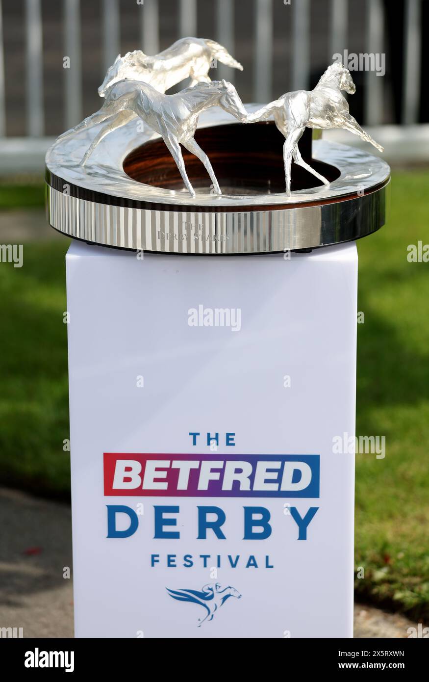 The Derby Stakes trophy on display ahead of the first race during the ...