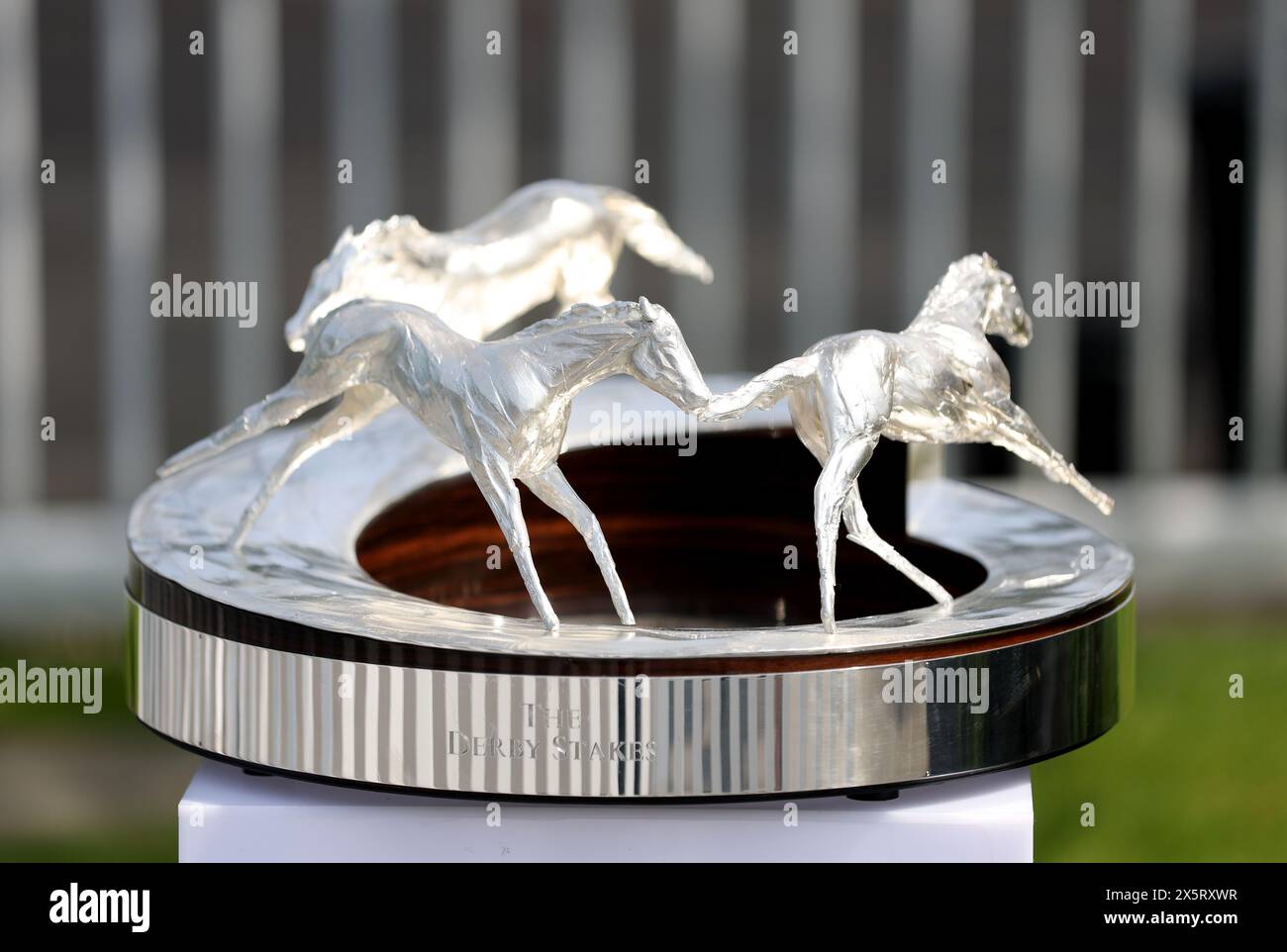 The Derby Stakes trophy on display ahead of the first race during the ...