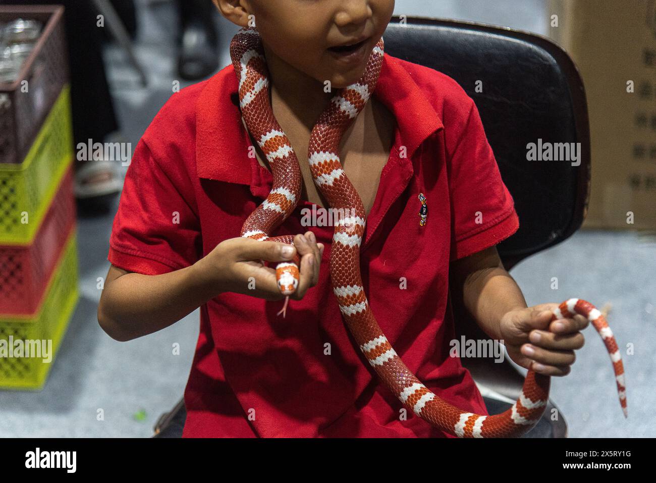 Bangkok, Thailand. 11th May, 2024. A kid seen carry a snake and poses ...