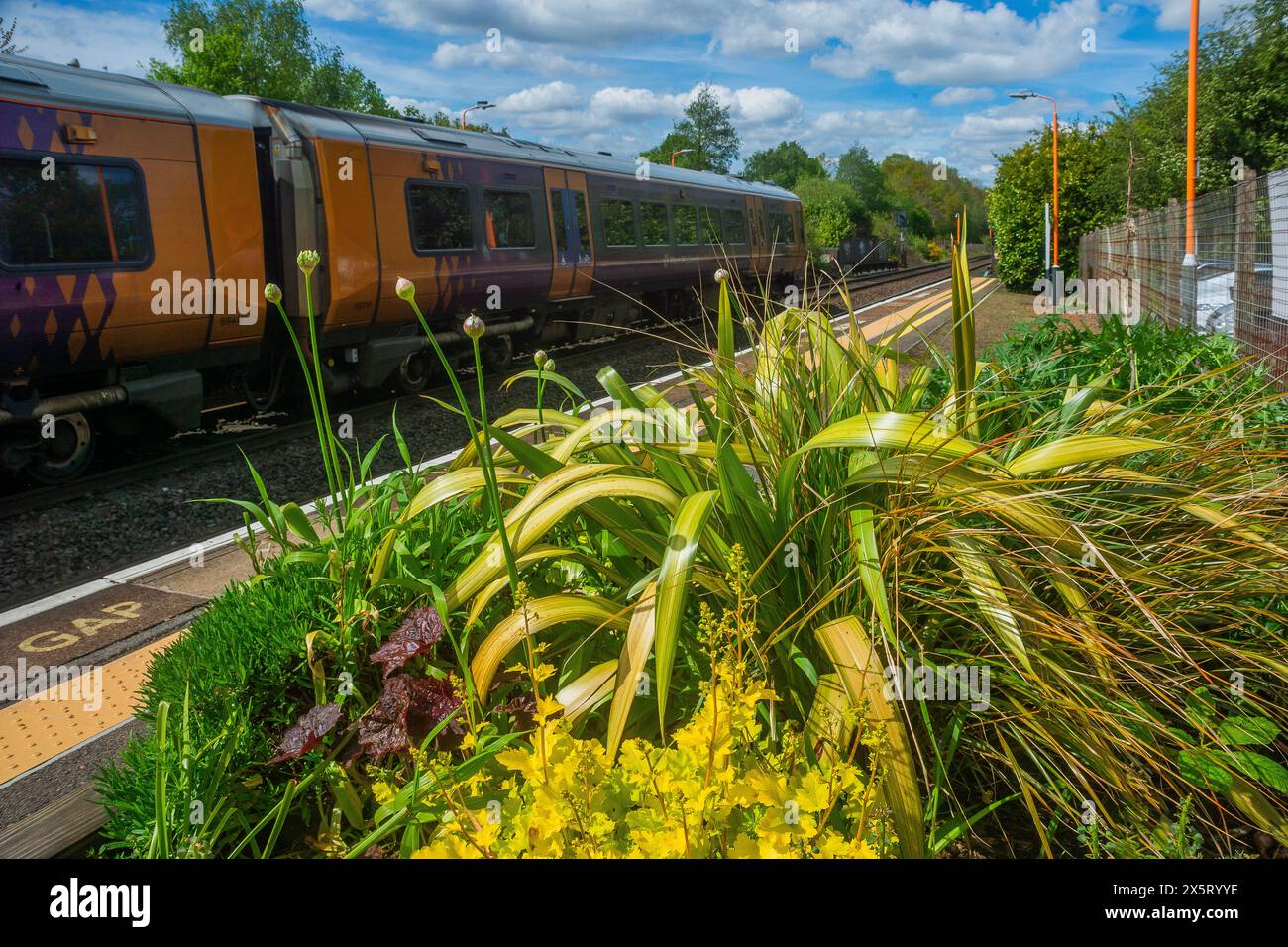 British Rail Network Rail Diesel powered passenger commuter trian ...