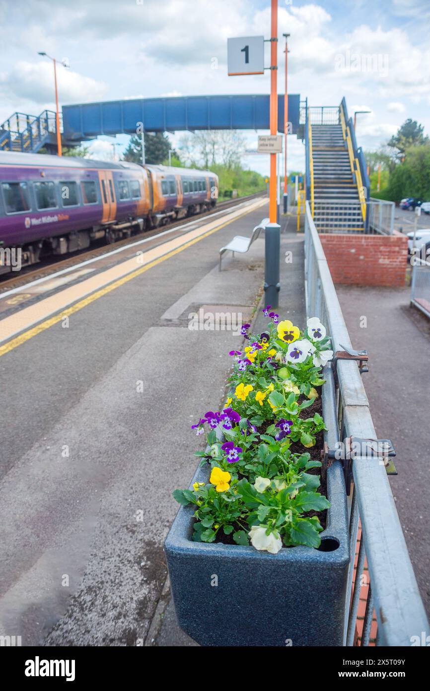 British Rail Network Rail Diesel powered passenger commuter trian ...