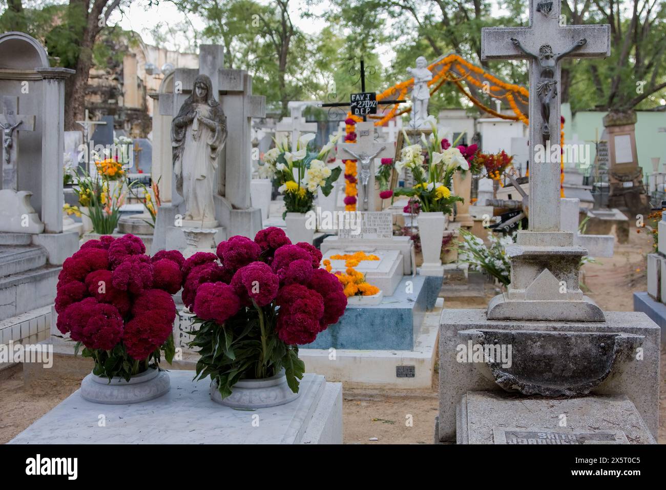 Oaxaca; Mexico; North America. Day of the Dead Celebration. Decorated ...