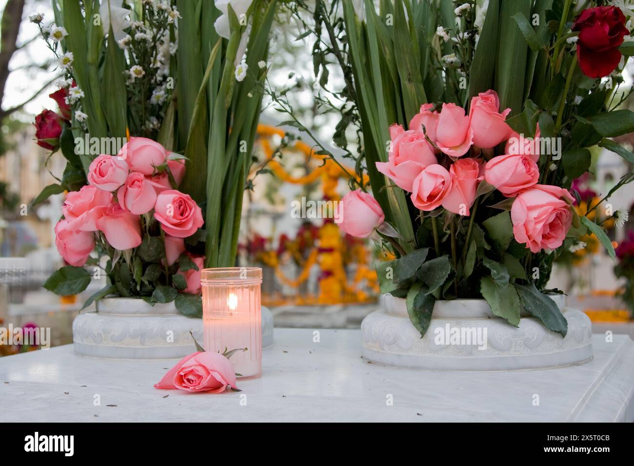 Oaxaca; Mexico; North America. Day of the Dead Celebration. Roses ...