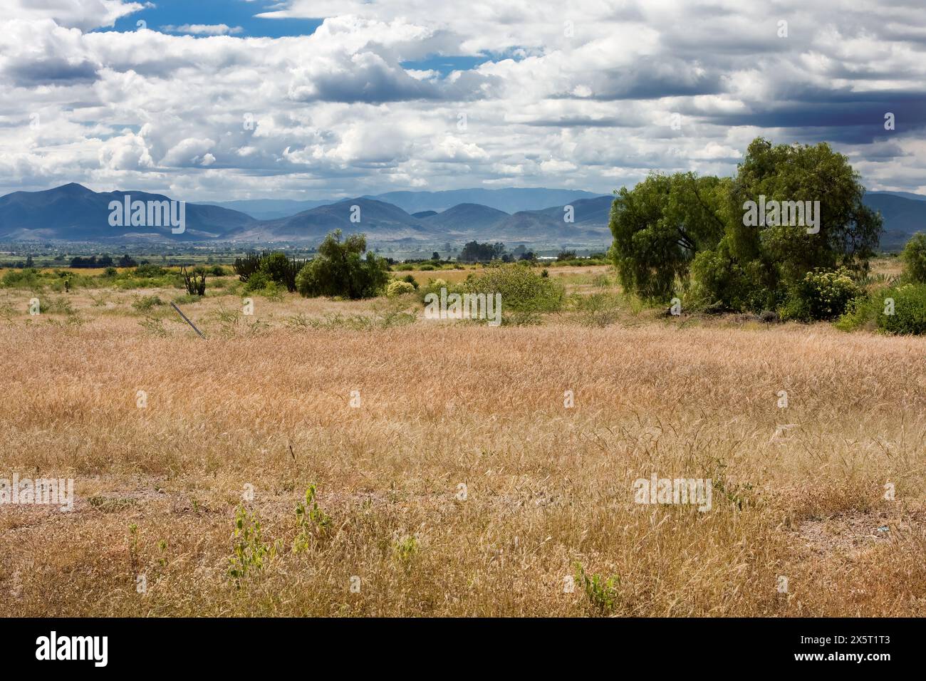 Santa ana del valle oaxaca hi-res stock photography and images - Alamy