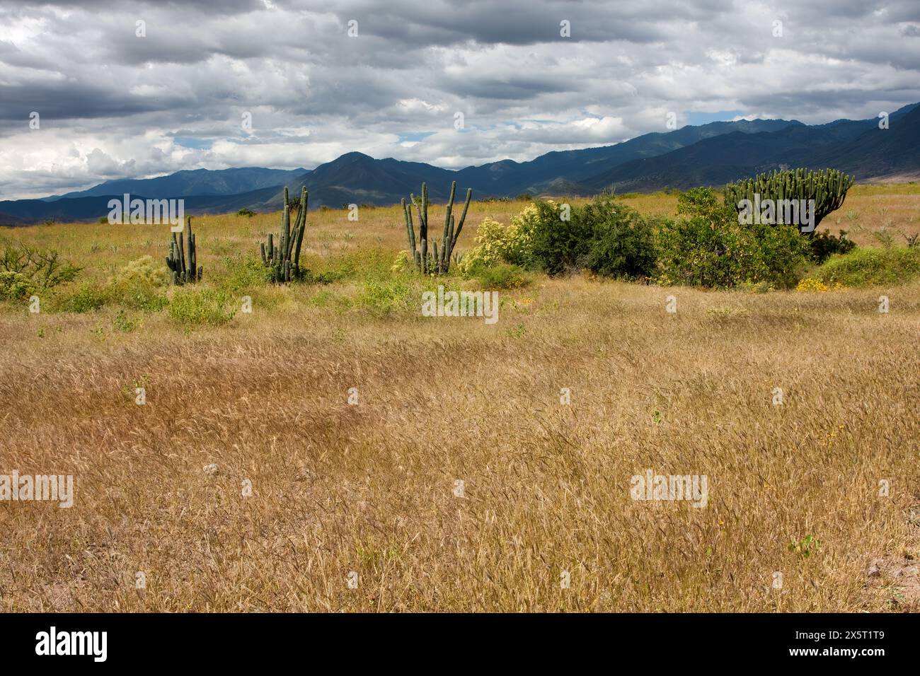 Santa Ana del Valle, Oaxaca; Mexico; North America. Landscape, Scenery ...