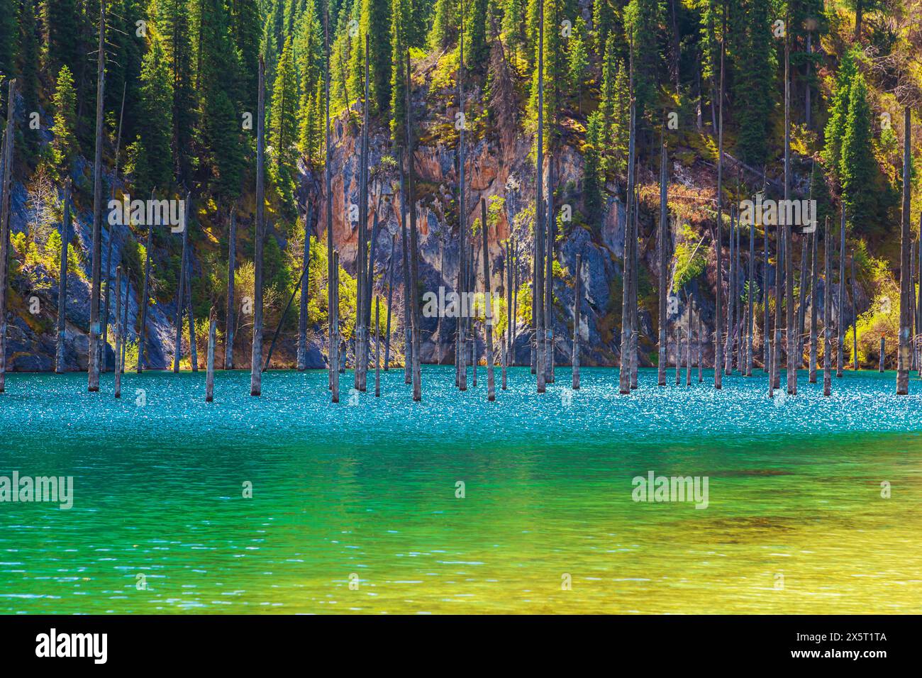 Sunken forest in the mountain lake Kaindy in Kazakhstan. Beautiful ...