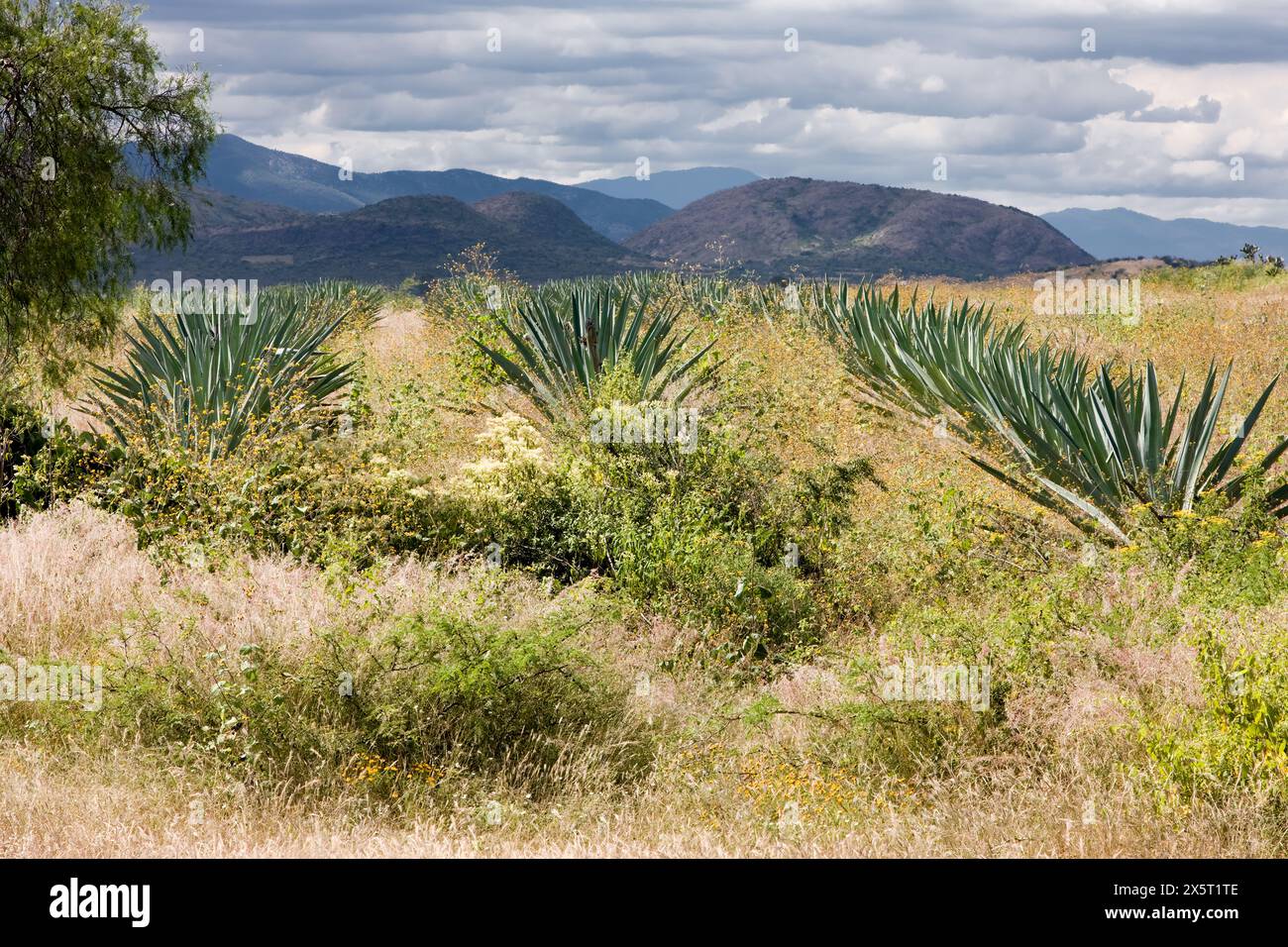 Santa Ana del Valle, Oaxaca; Mexico; North America. Landscape, Scenery ...