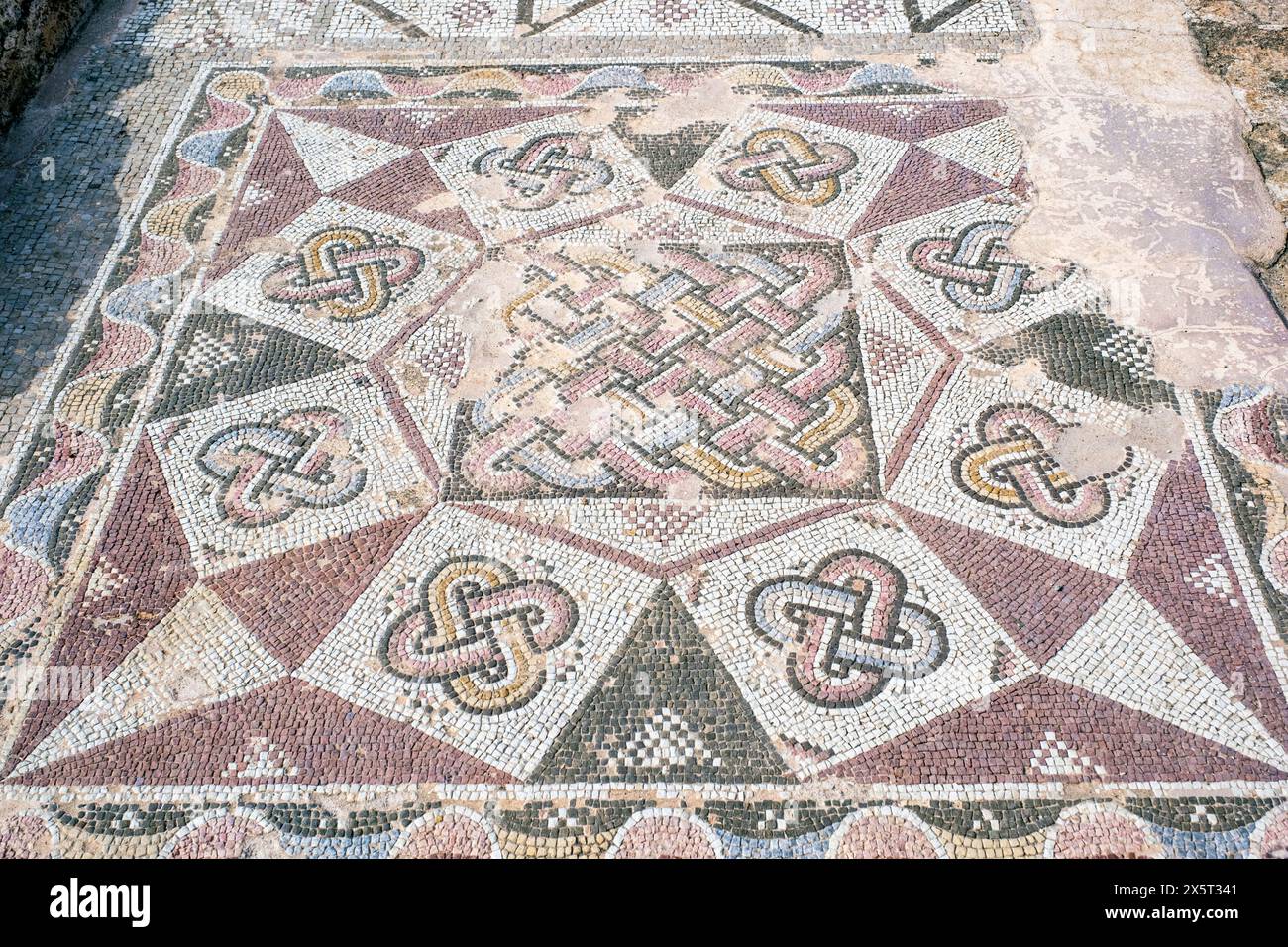 Roman floor mosaic, House of Theseus, Paphos Archaeological Park ...