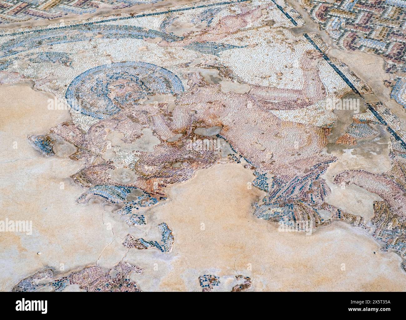 Paphos archaeological park 2024 hi-res stock photography and images - Alamy