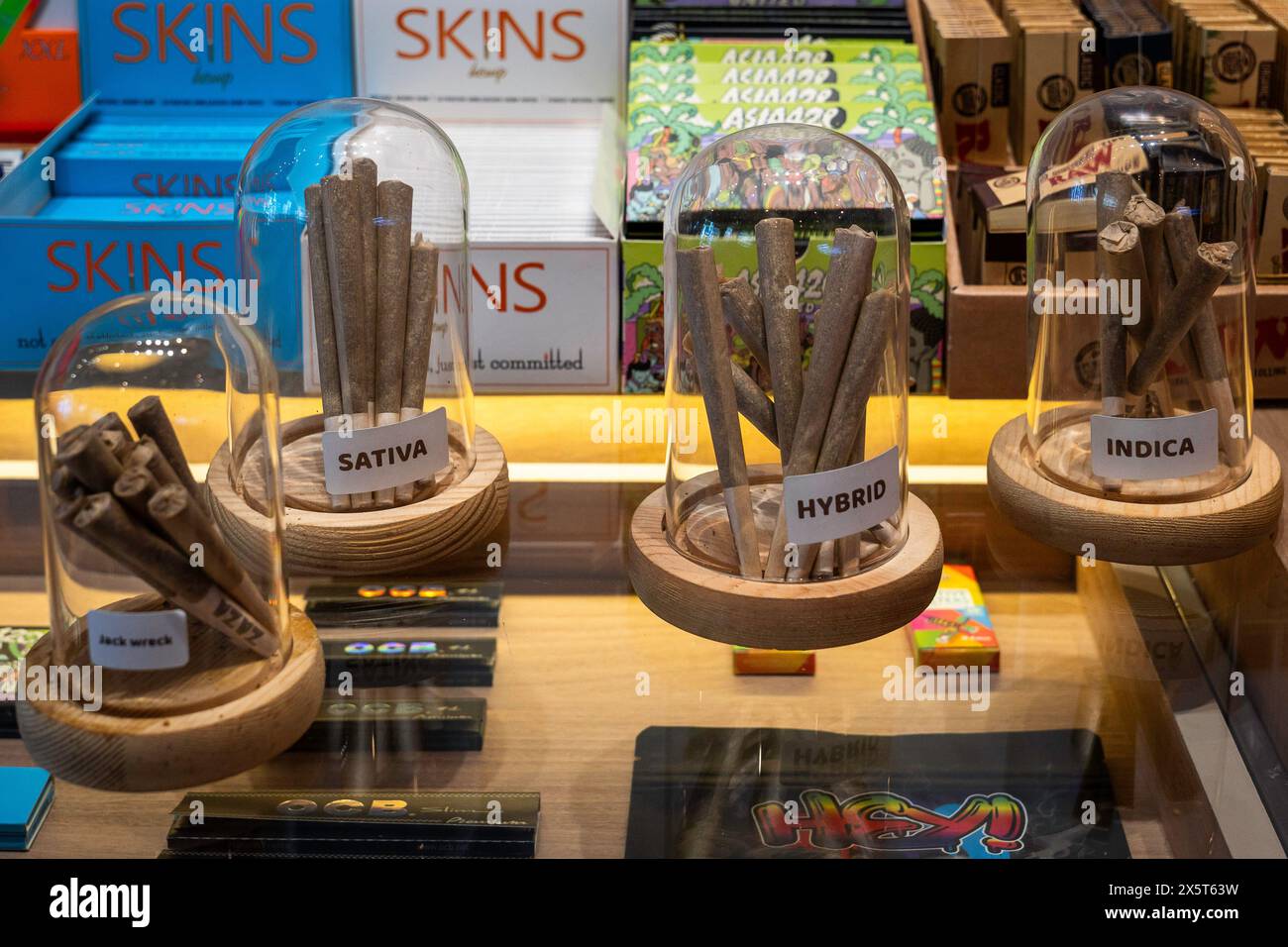 Bangkok, Thailand. 10th May, 2024. A close-up of different species of ...