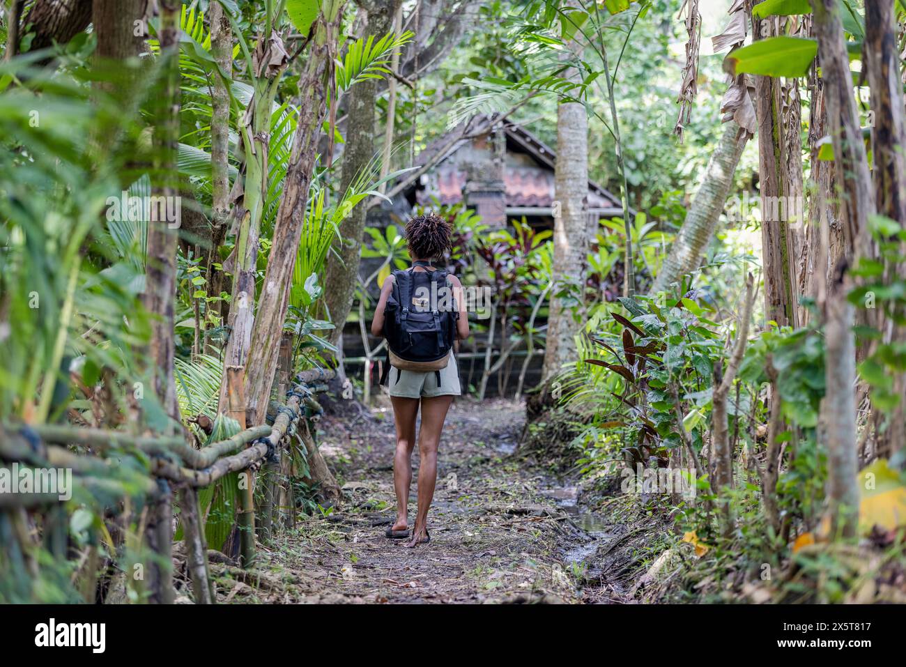 Indonesia, Bali, Female tourist hiking in rainforest Stock Photo - Alamy