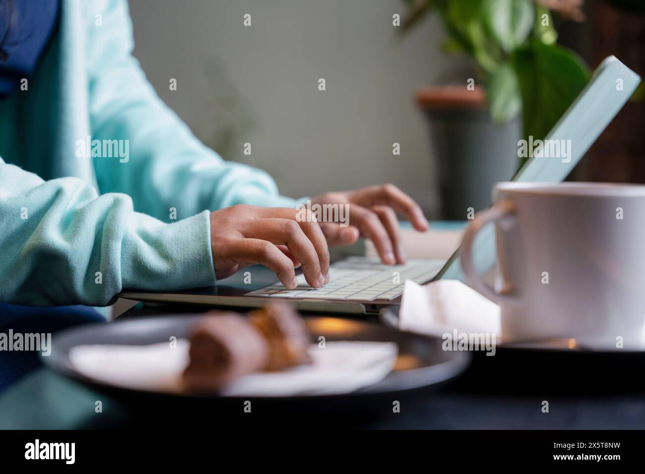 Female student using laptop while studying Stock Photo - Alamy