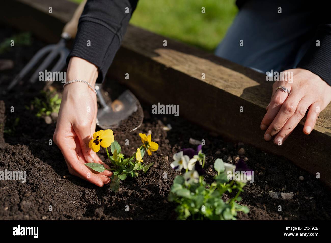 Healthy care woman in hi-res stock photography and images - Alamy