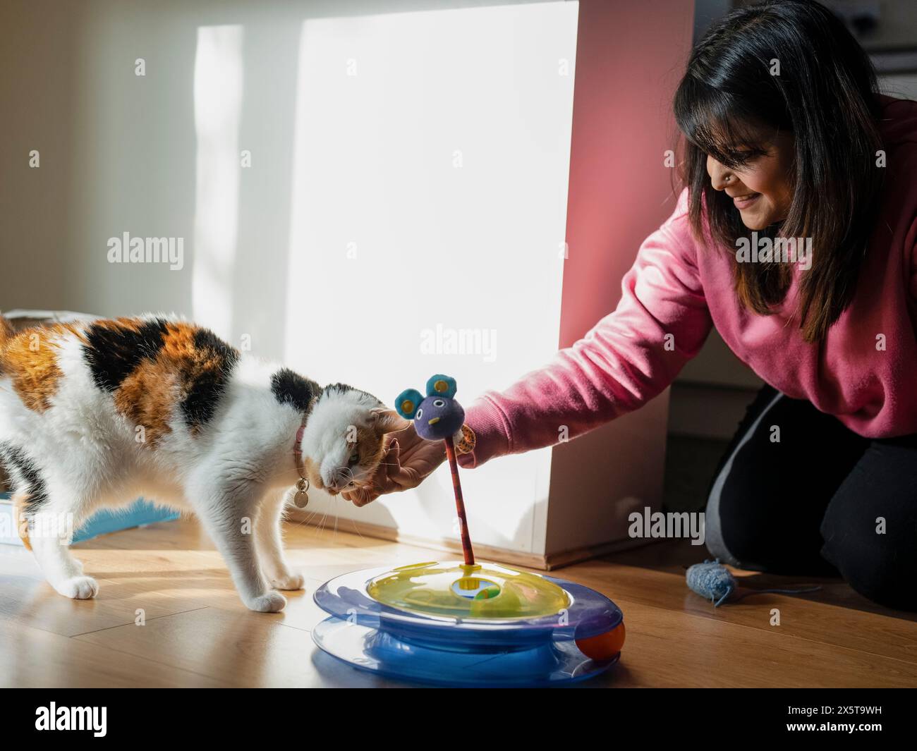 Asian woman cute cat hi-res stock photography and images - Alamy