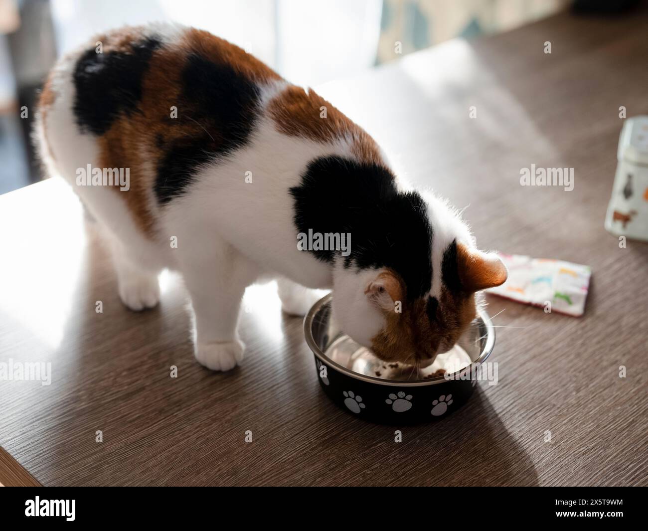 Full from food hi-res stock photography and images - Alamy