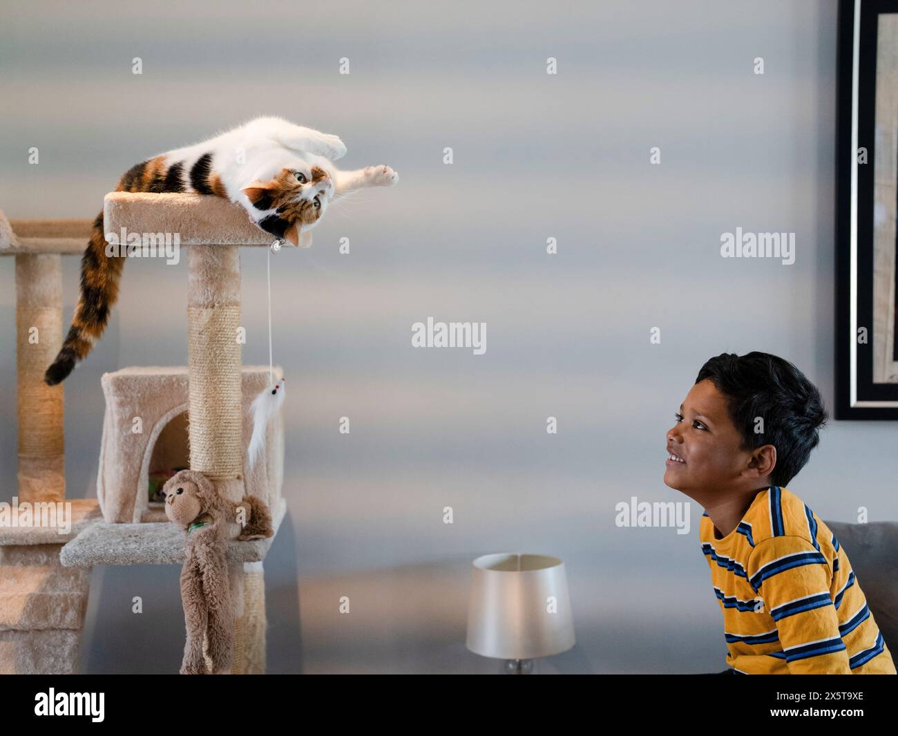 Boy looking at cat on scratching post at home Stock Photo - Alamy