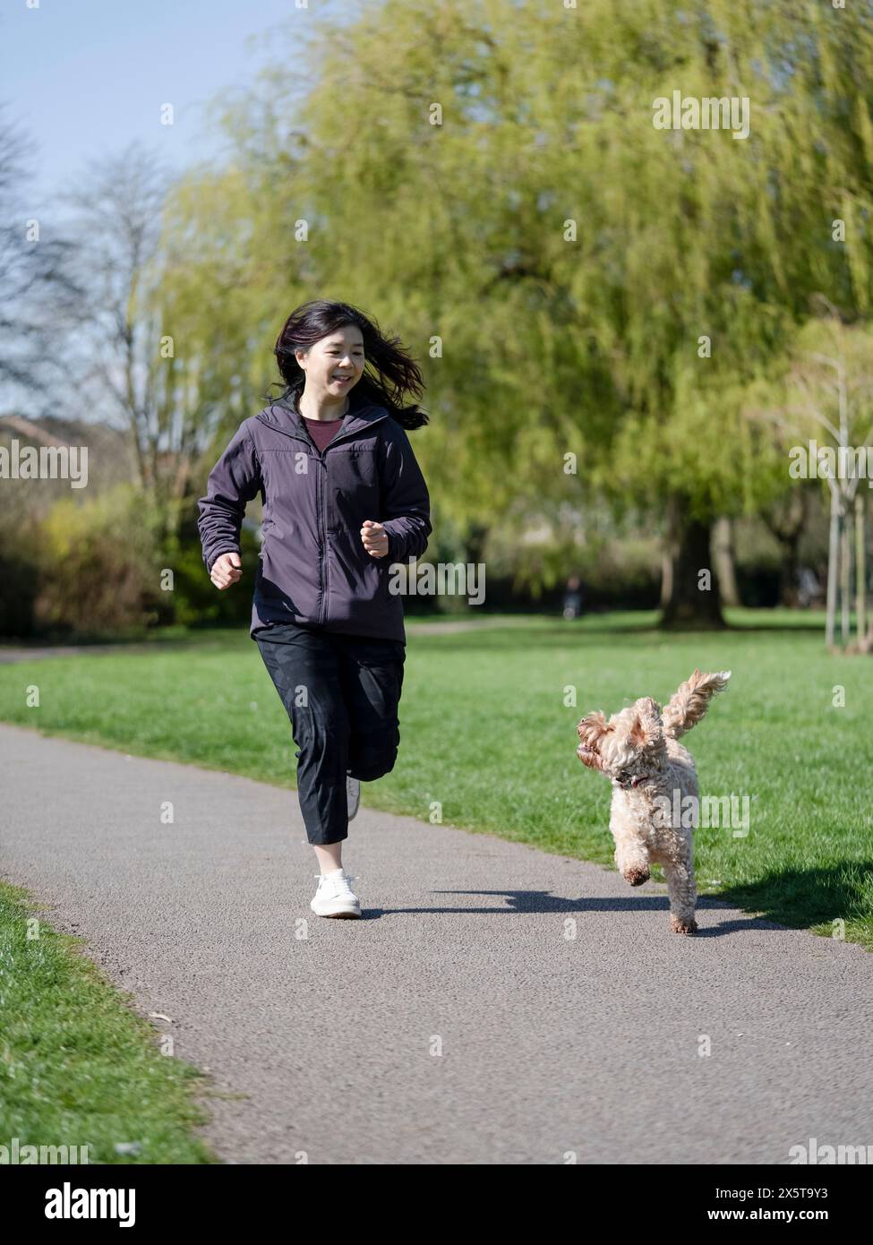 Dog park day hi-res stock photography and images - Alamy