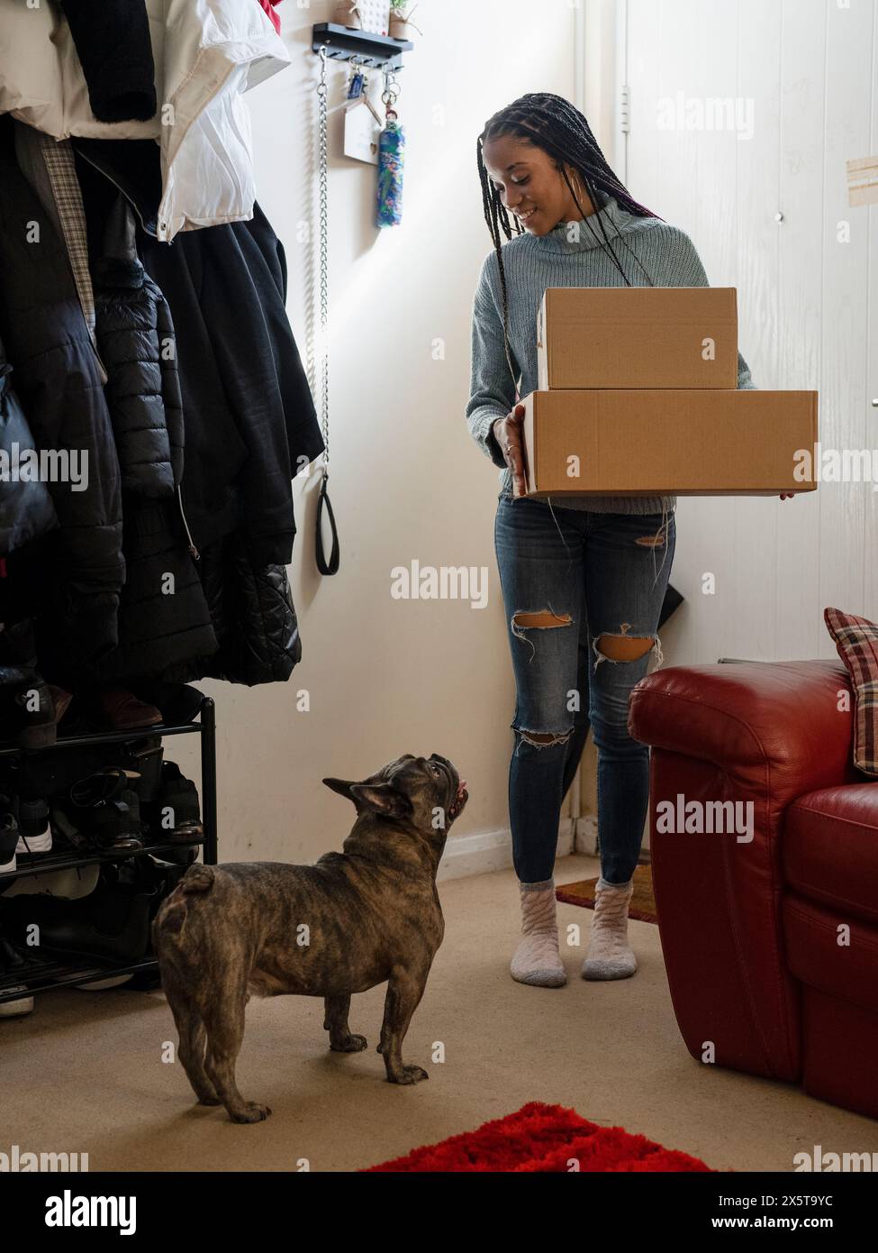 Woman carrying cardboard boxes with dog food Stock Photo - Alamy