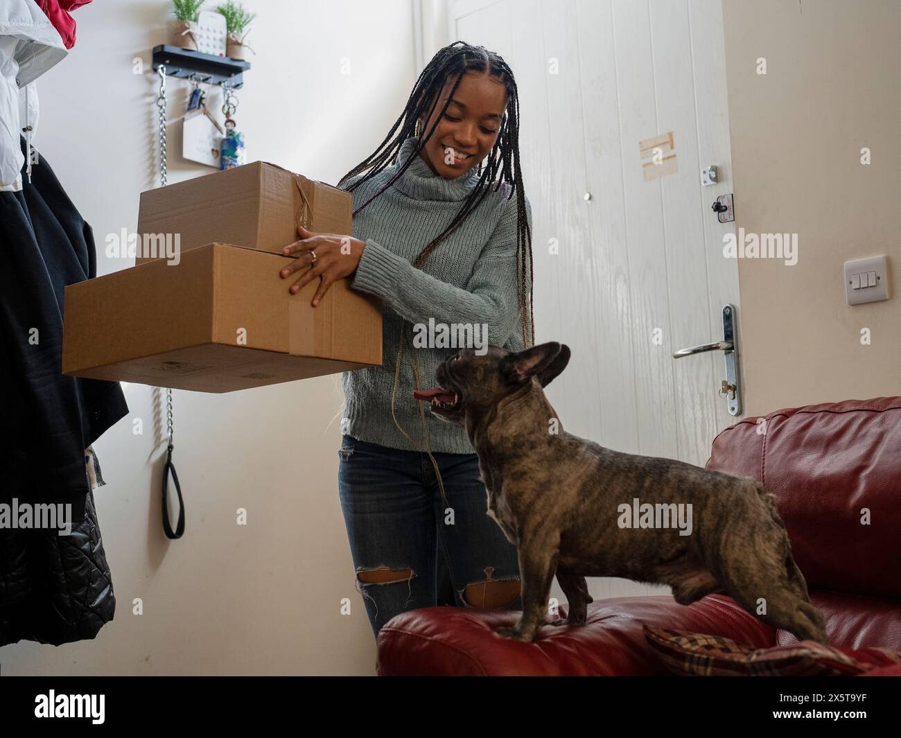 Woman carrying cardboard boxes with dog food Stock Photo - Alamy