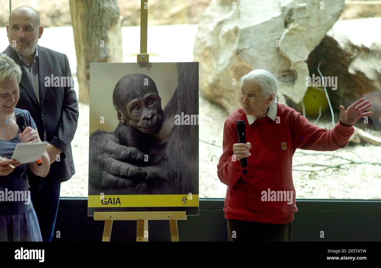Prag, Czech Republic. 11th May, 2024. The world-famous primatologist ...