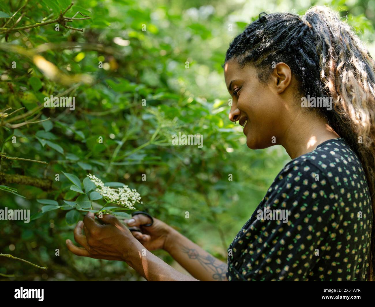 Woman cutting branch of tree Stock Photo - Alamy