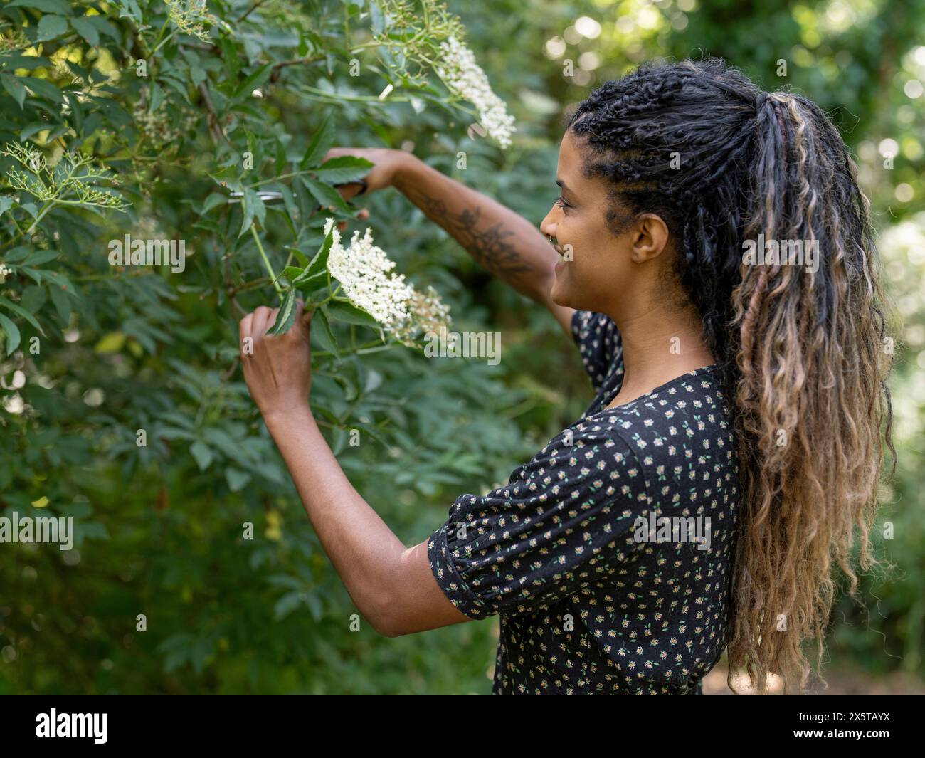 Side view of woman cutting twig with scissors Stock Photo - Alamy