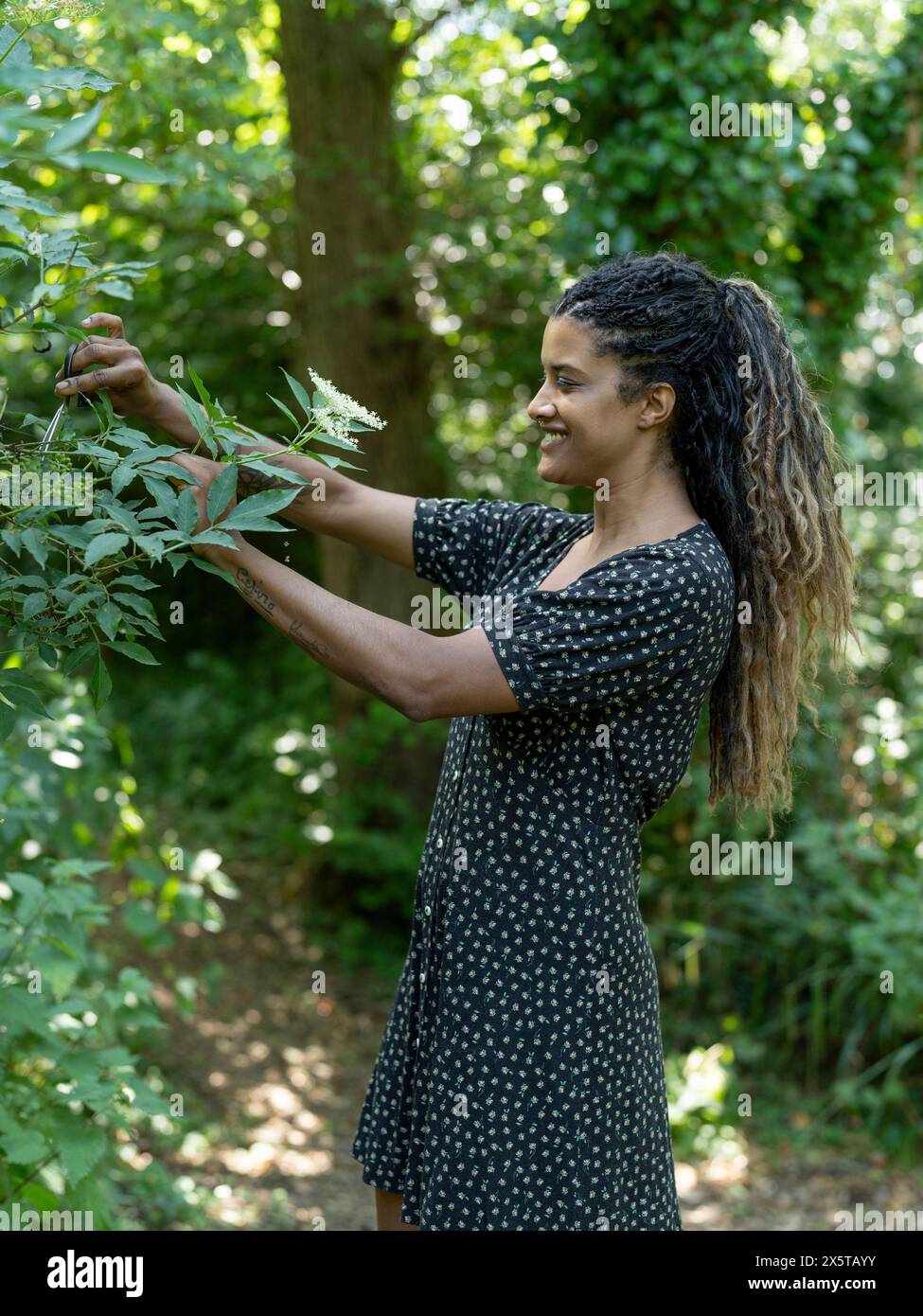 Side view of woman cutting twig with scissors Stock Photo - Alamy