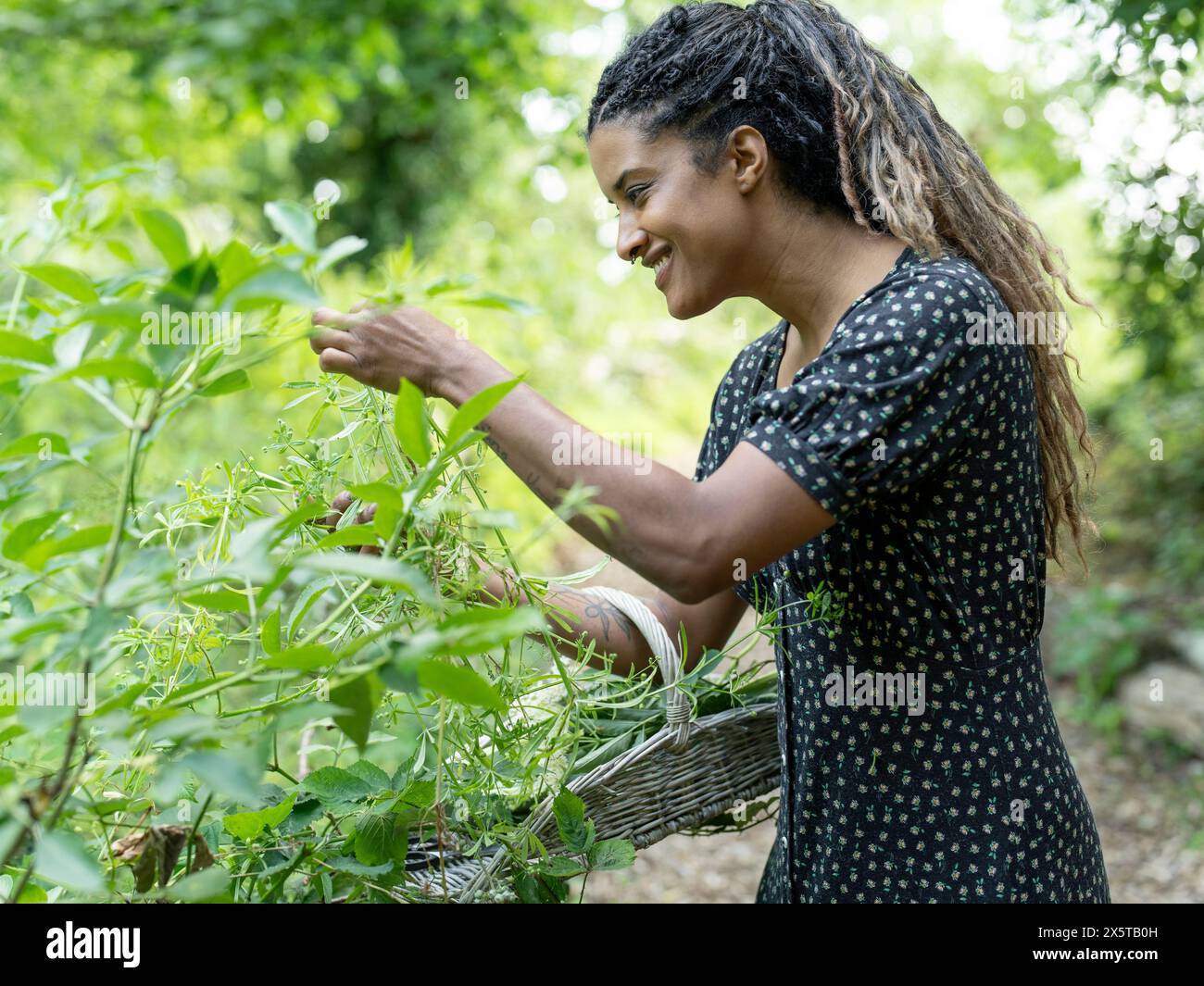 Woman foraging hi-res stock photography and images - Alamy
