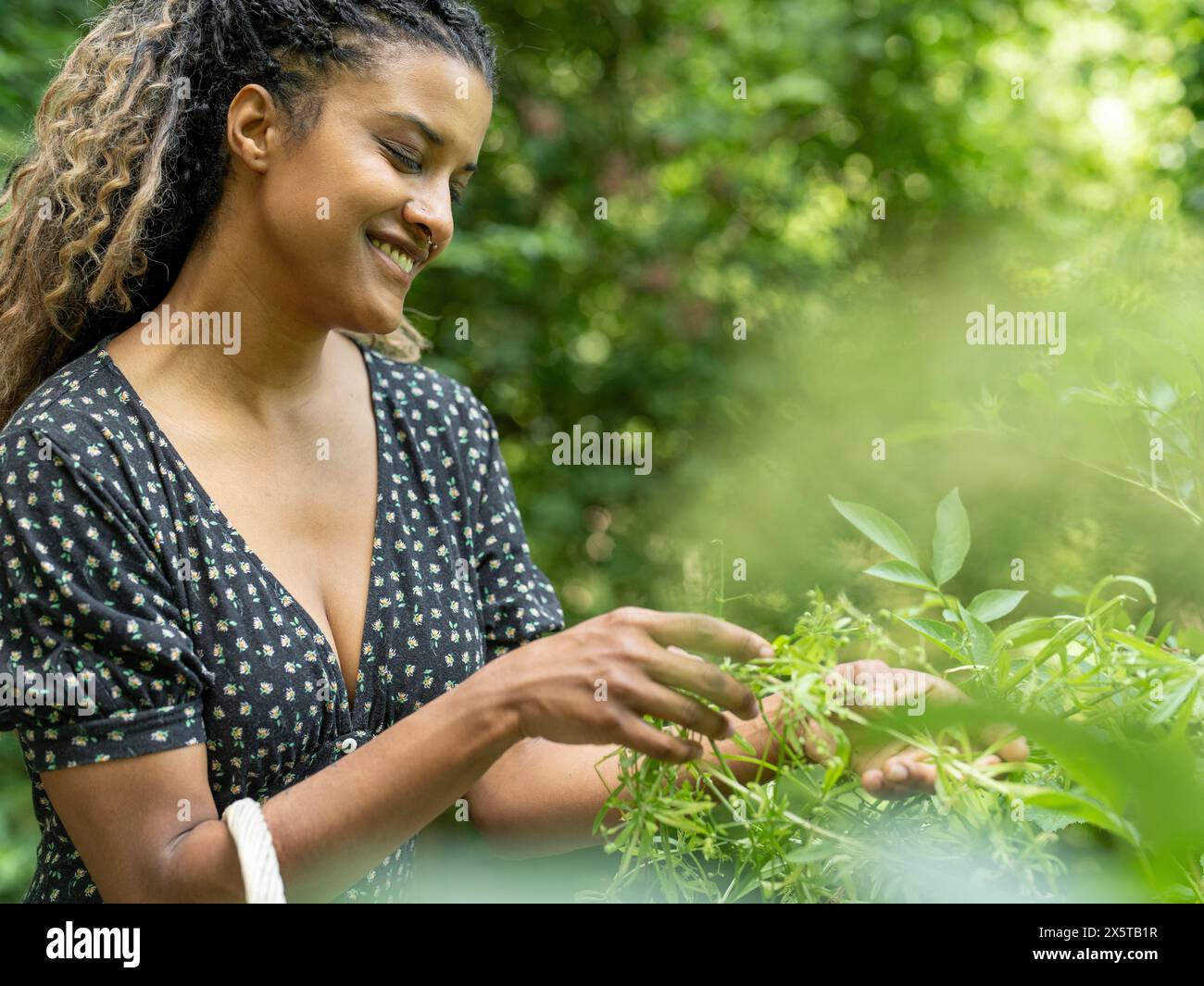 Woman foraging england hi-res stock photography and images - Alamy