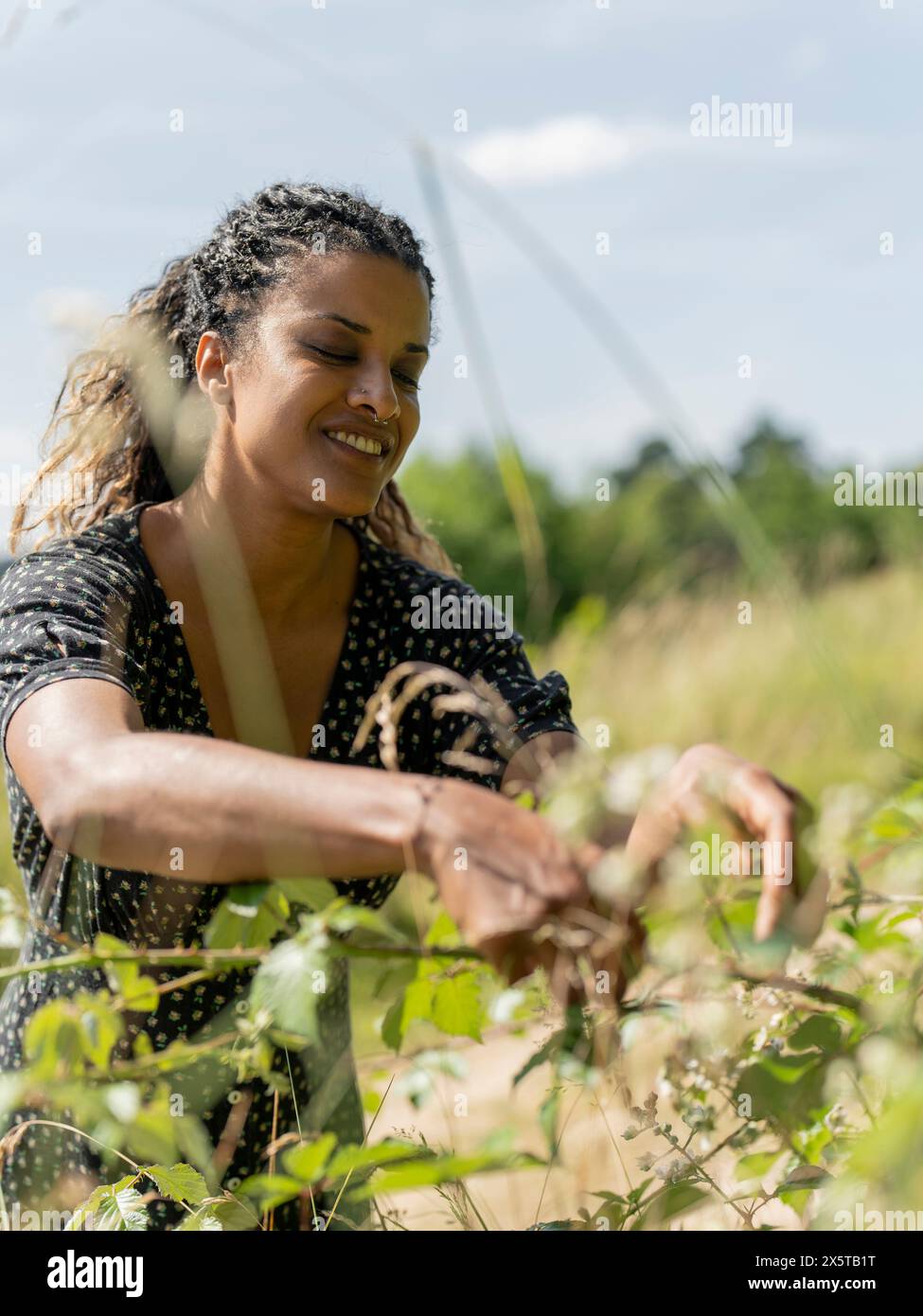 Woman foraging england hi-res stock photography and images - Alamy
