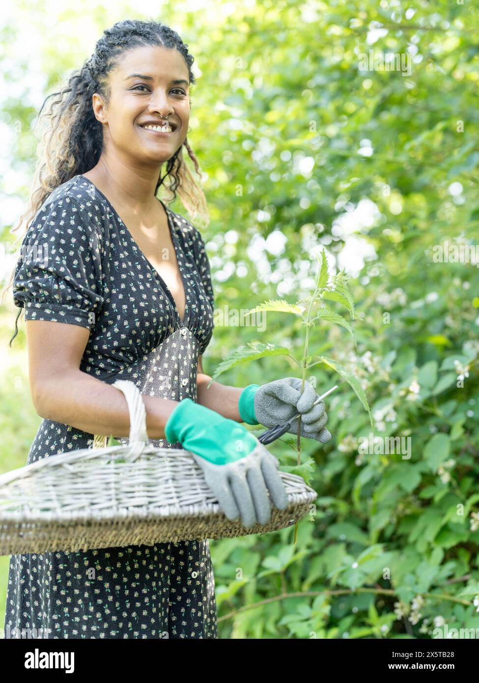 Portrait of woman foraging flowers into basket Stock Photo - Alamy