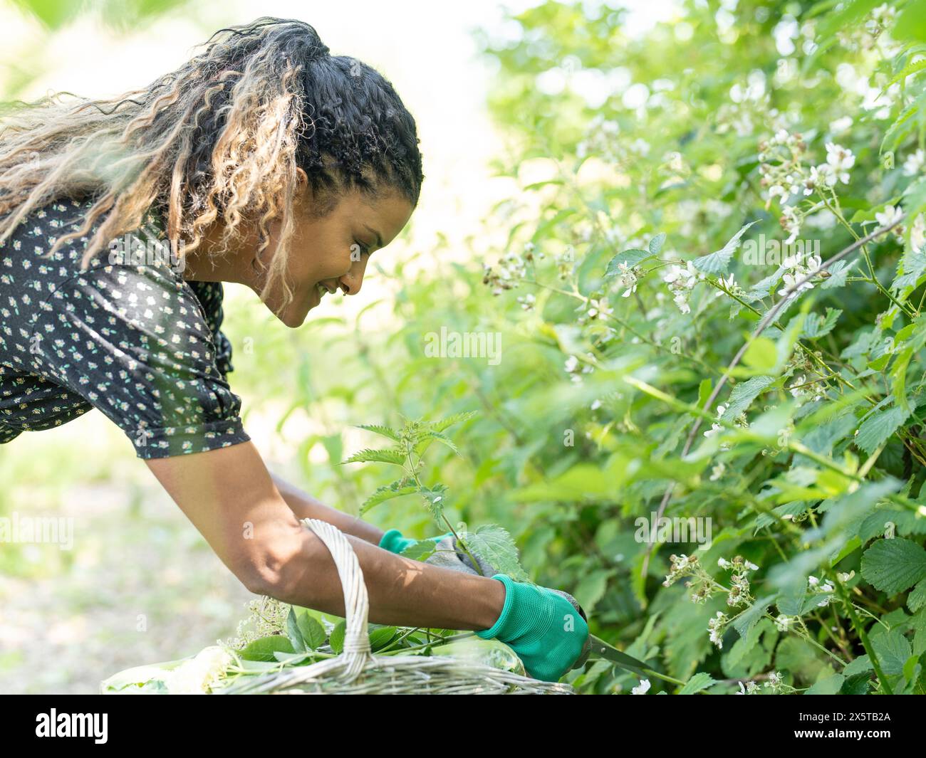 Sustainable foraging hi-res stock photography and images - Alamy