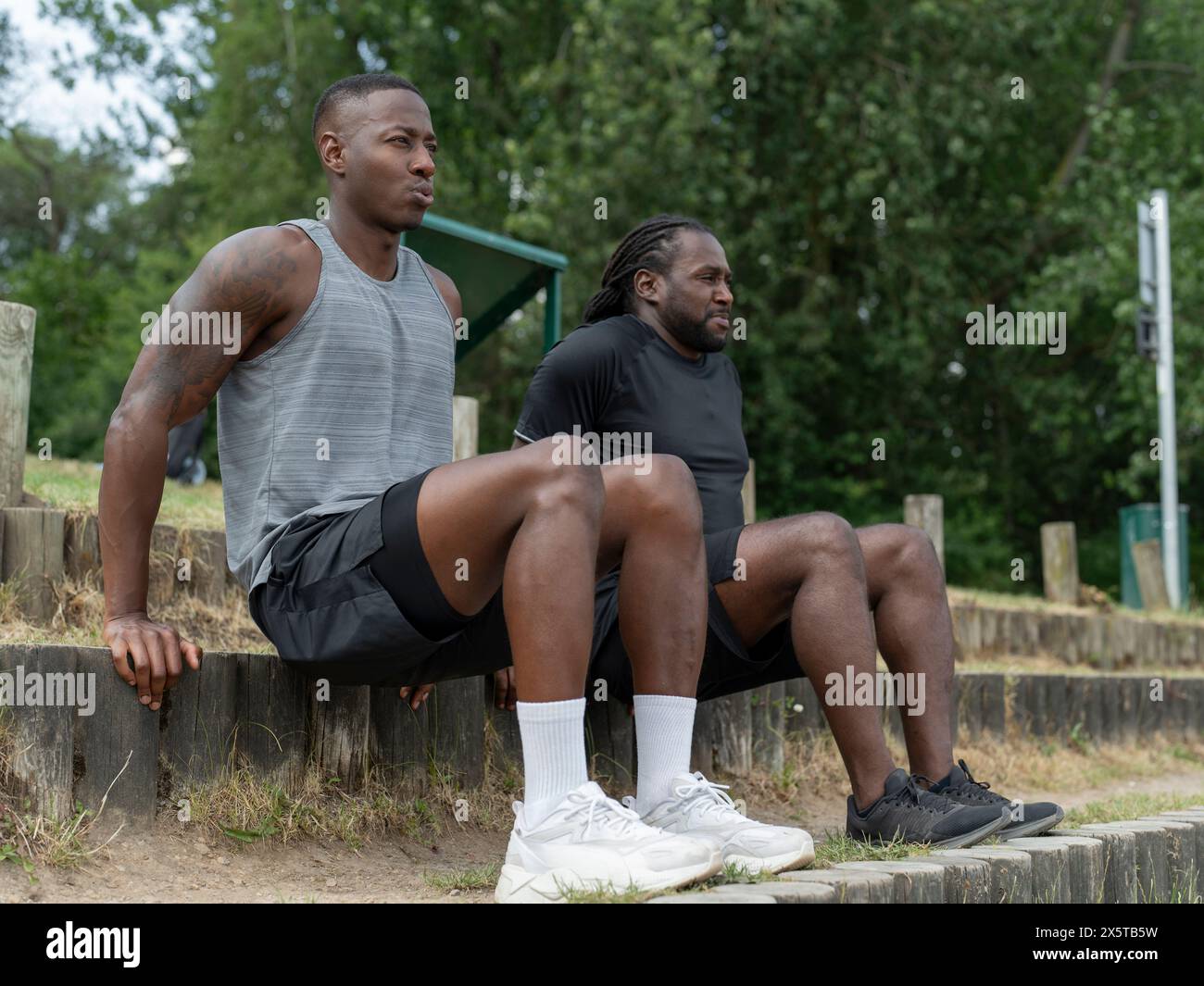 Two men doing triceps dips in park Stock Photo - Alamy