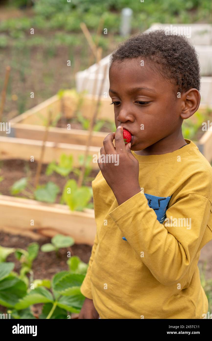 Real strawberry hi-res stock photography and images - Alamy