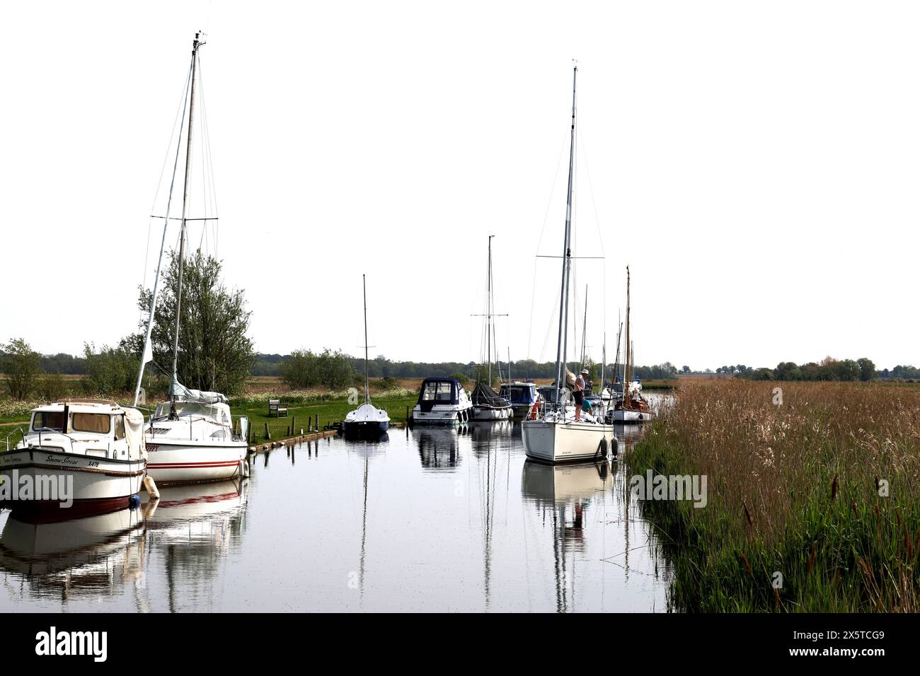 Moored Boats, River Bure, Norfolk Broads, Upton, Norfolk, England, UK ...