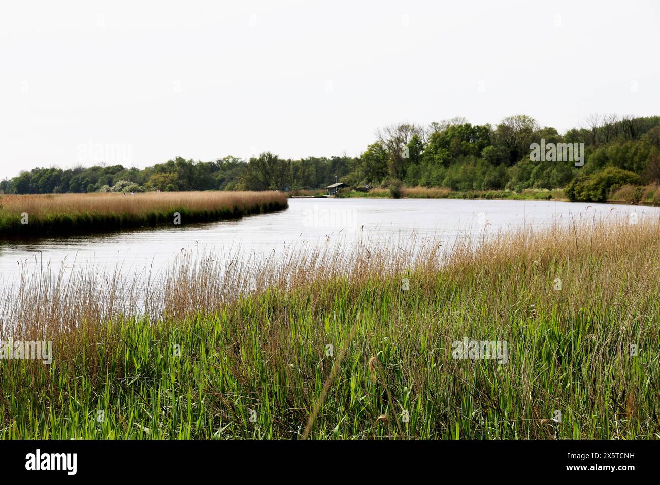 River Bure, Norfolk Broads, Upton, Norfolk, England, UK Stock Photo - Alamy