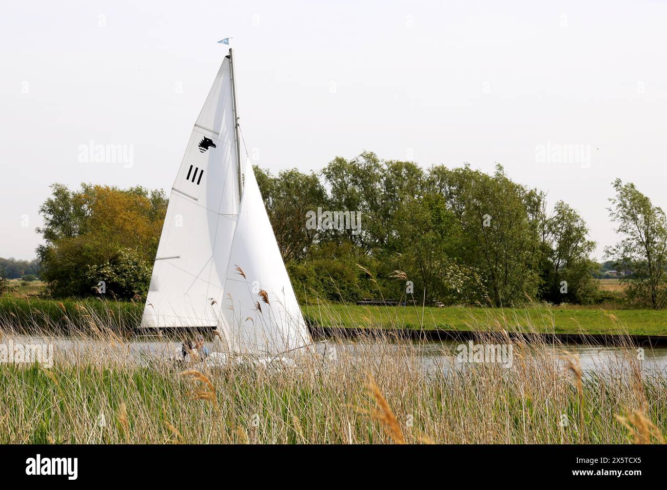 Sailing Boat, River Bure, Norfolk Broads, Upton, Norfolk, England, UK ...