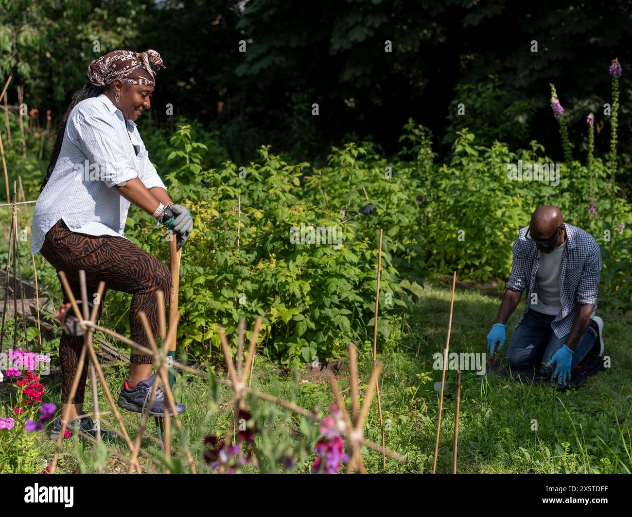 Teamwork gardening hi-res stock photography and images - Alamy