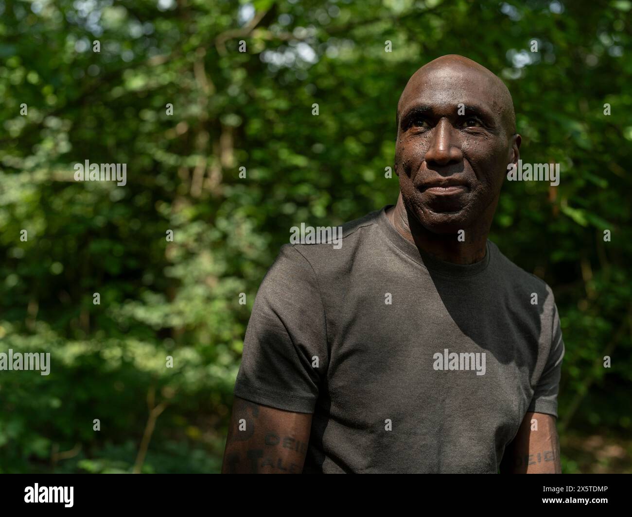 Hiking adventure forest trip hi-res stock photography and images - Alamy