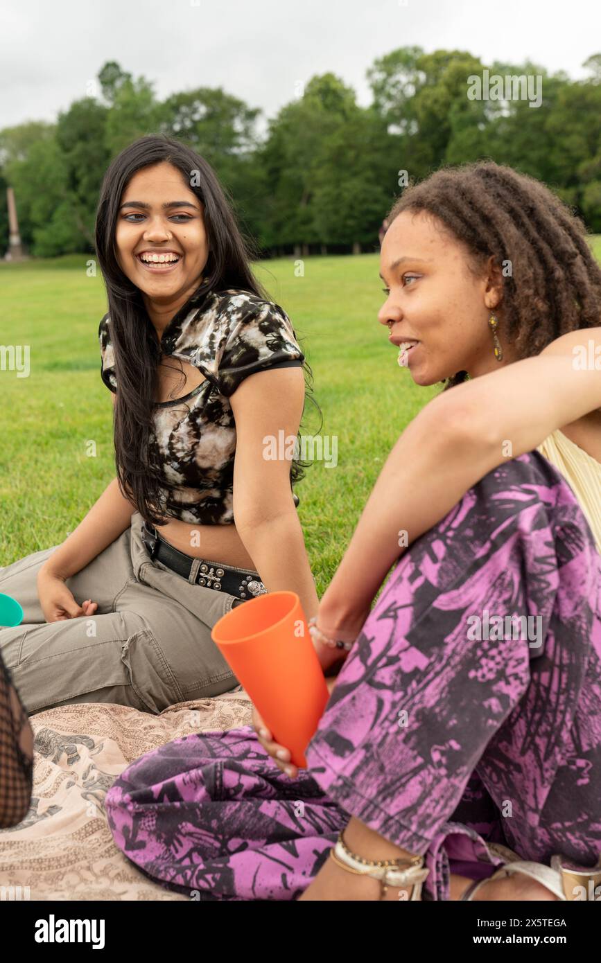 Female friends talking during picnic in park Stock Photo - Alamy