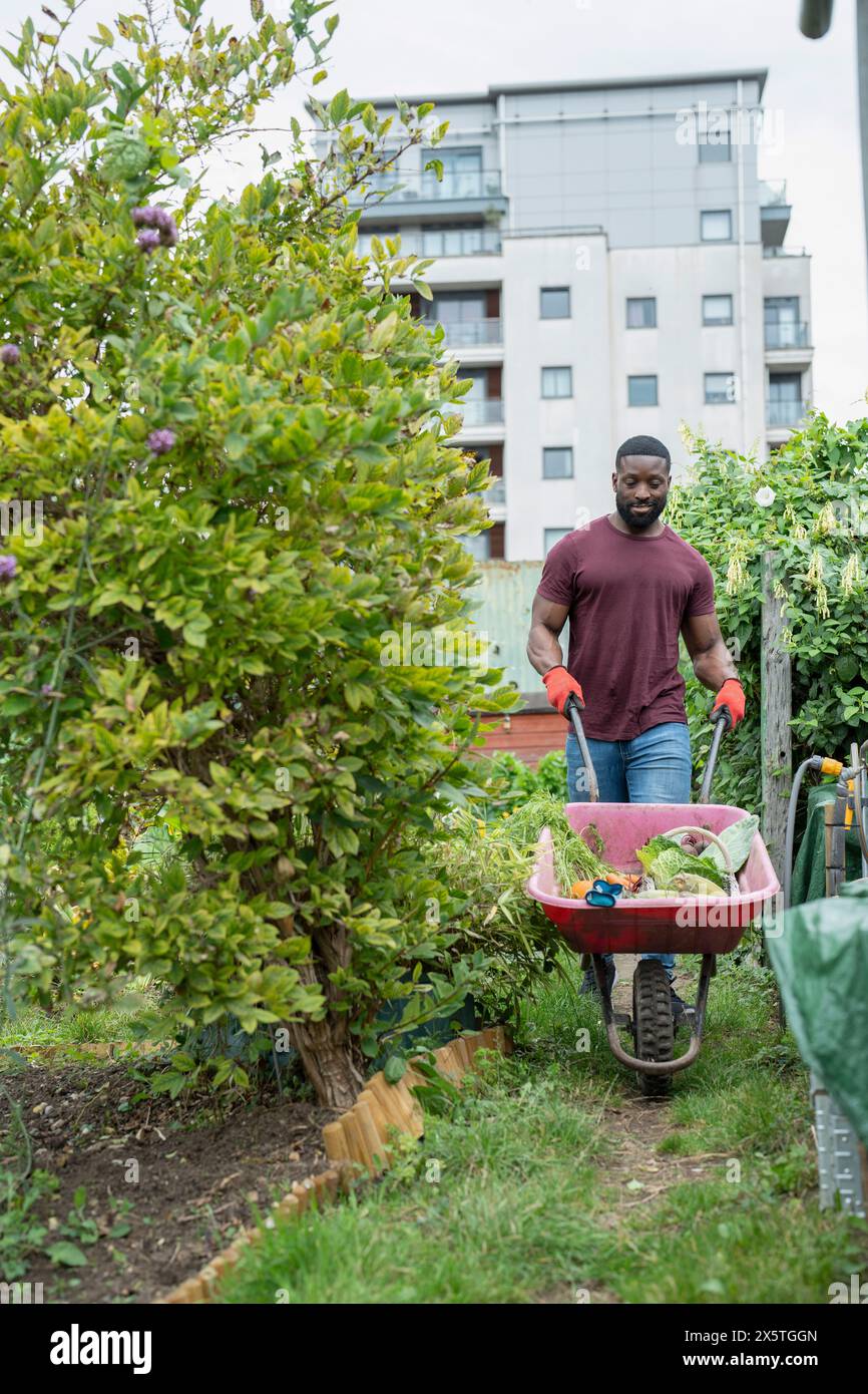 Portrait of man with vegetables in wheelbarrow in urban garden Stock ...
